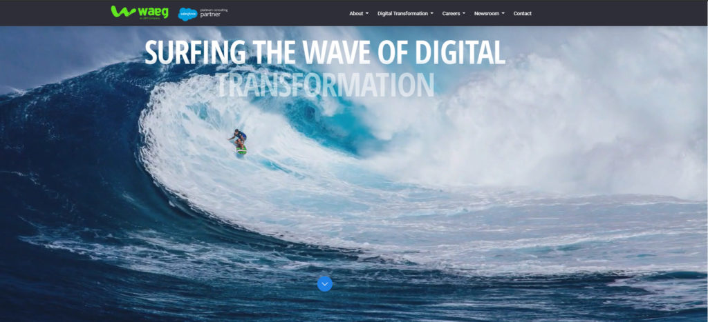 Waeg Spotlight and Review - Focos