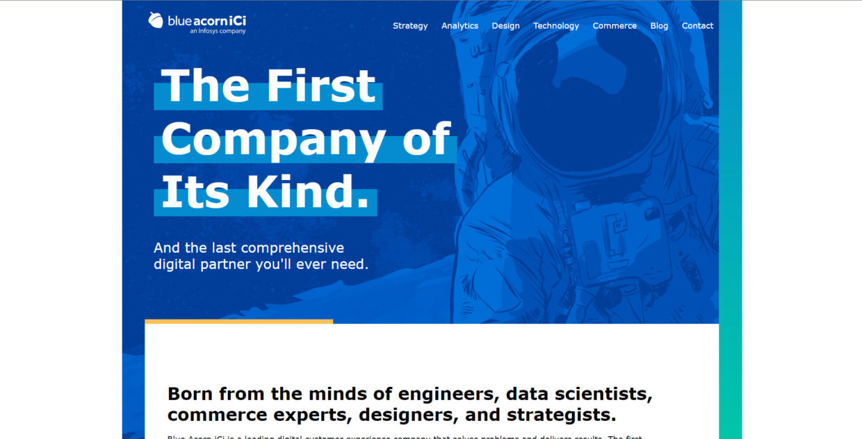 Blue Acorn iCi Spotlight and Review - Focos