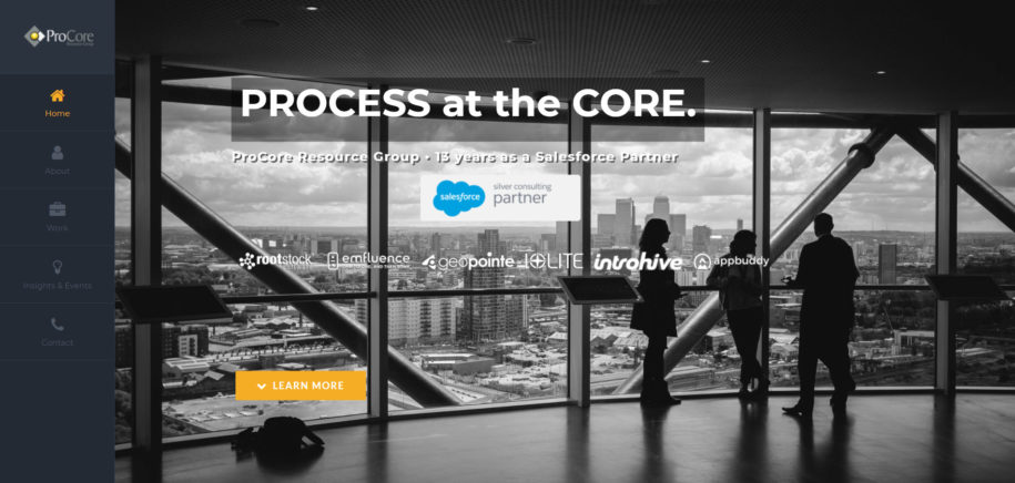 ProCore Resource Group Spotlight and Review - Focos